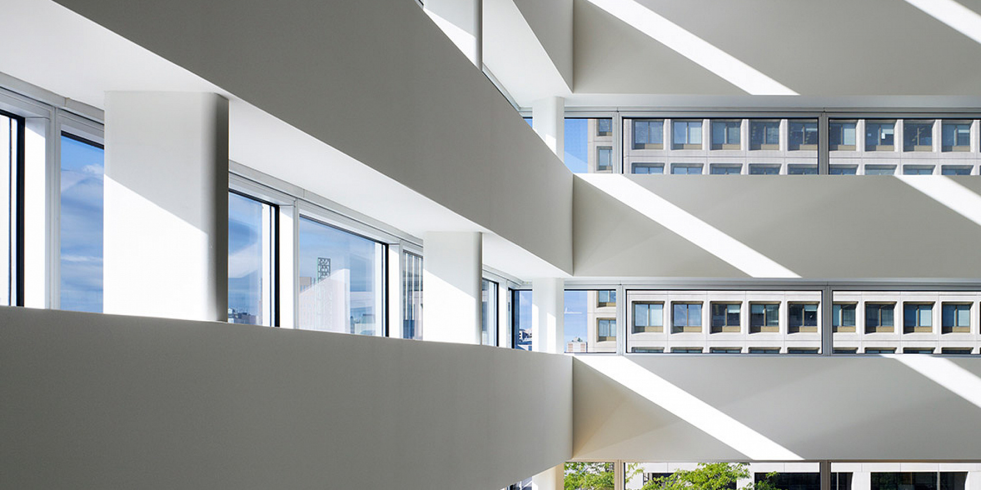 The Telfer Brand - Telfer School of Management